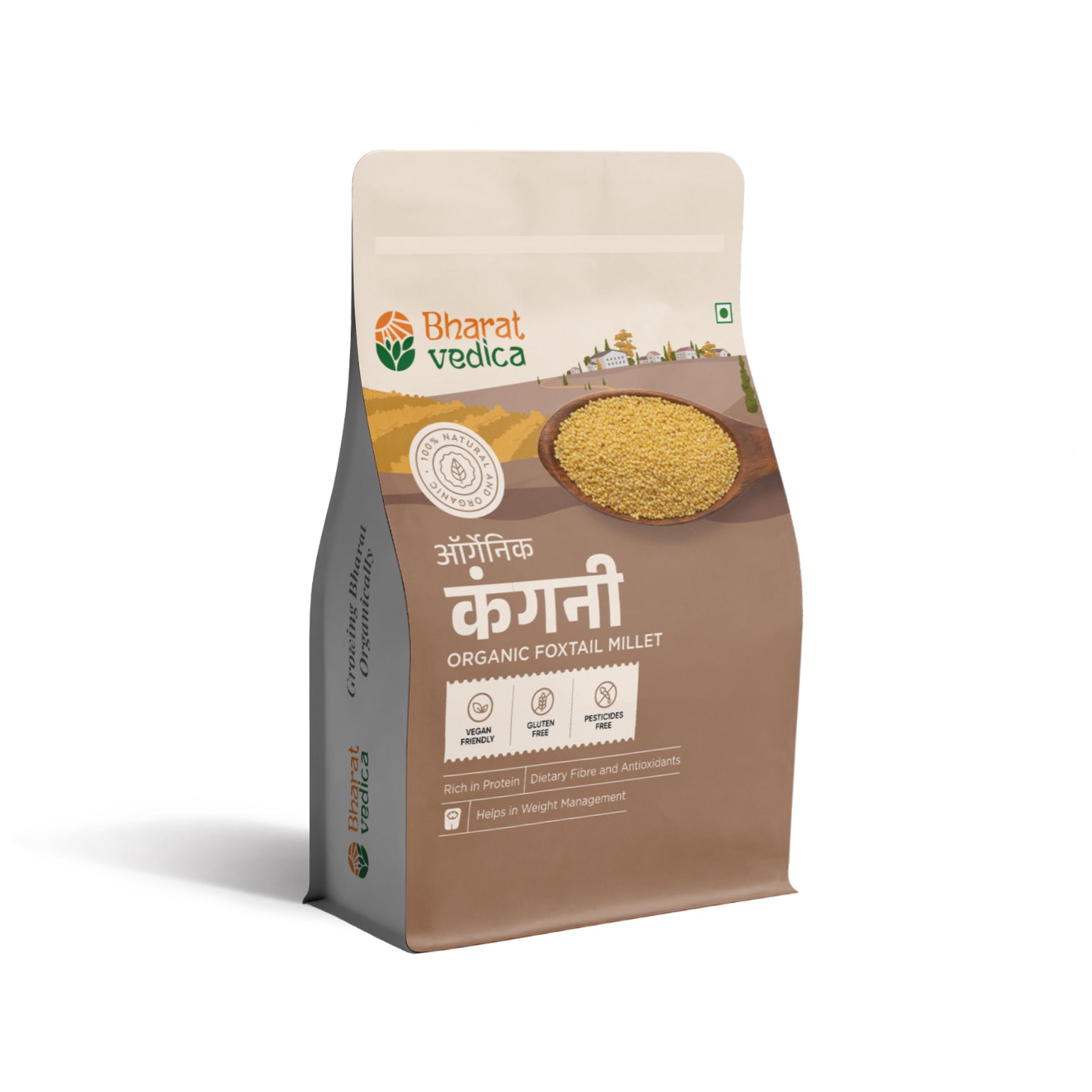 Buy Organic Foxtail Millet Online – Kangni Dane | Bharat Vedica