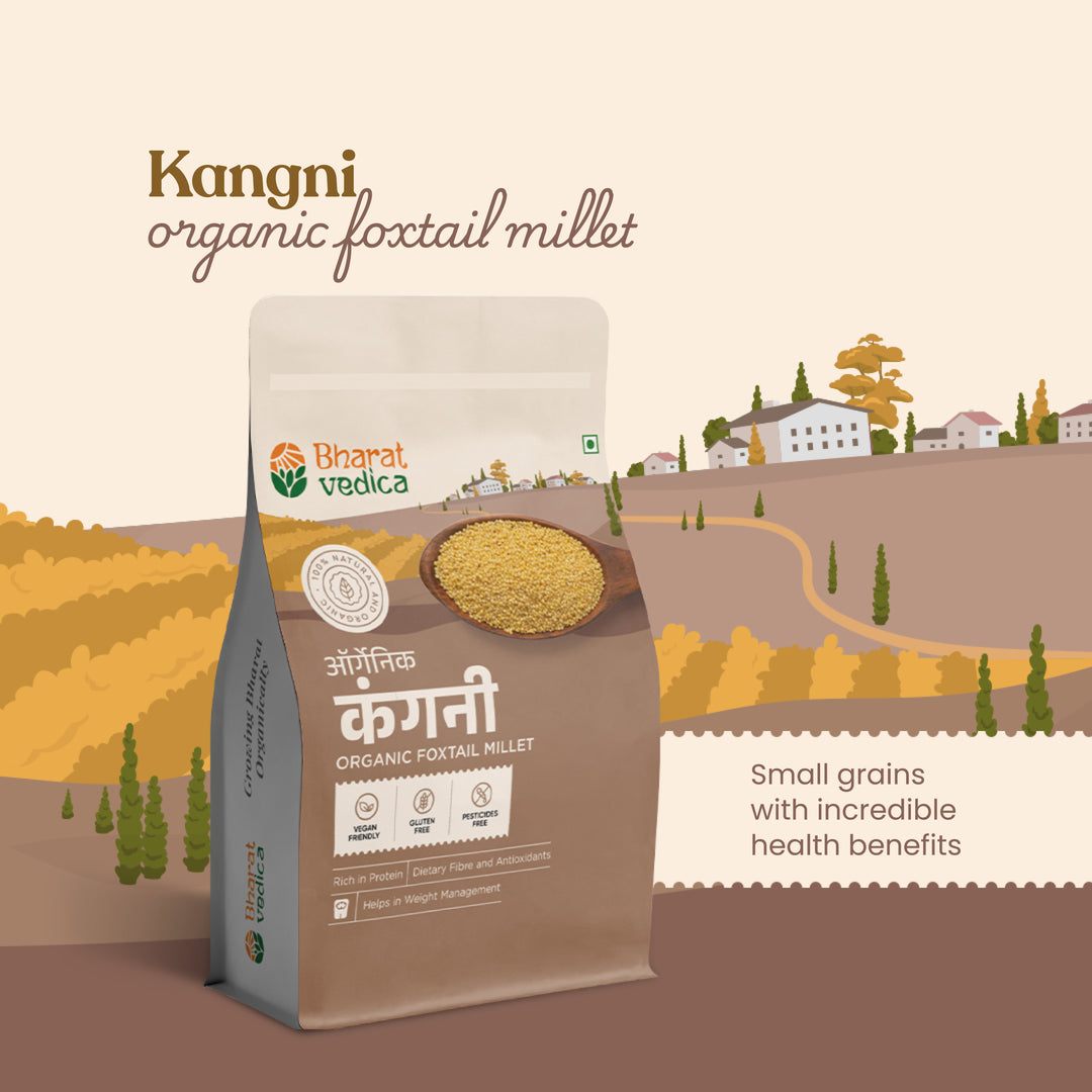 Buy Organic Foxtail Millet Online – Kangni Dane | Bharat Vedica