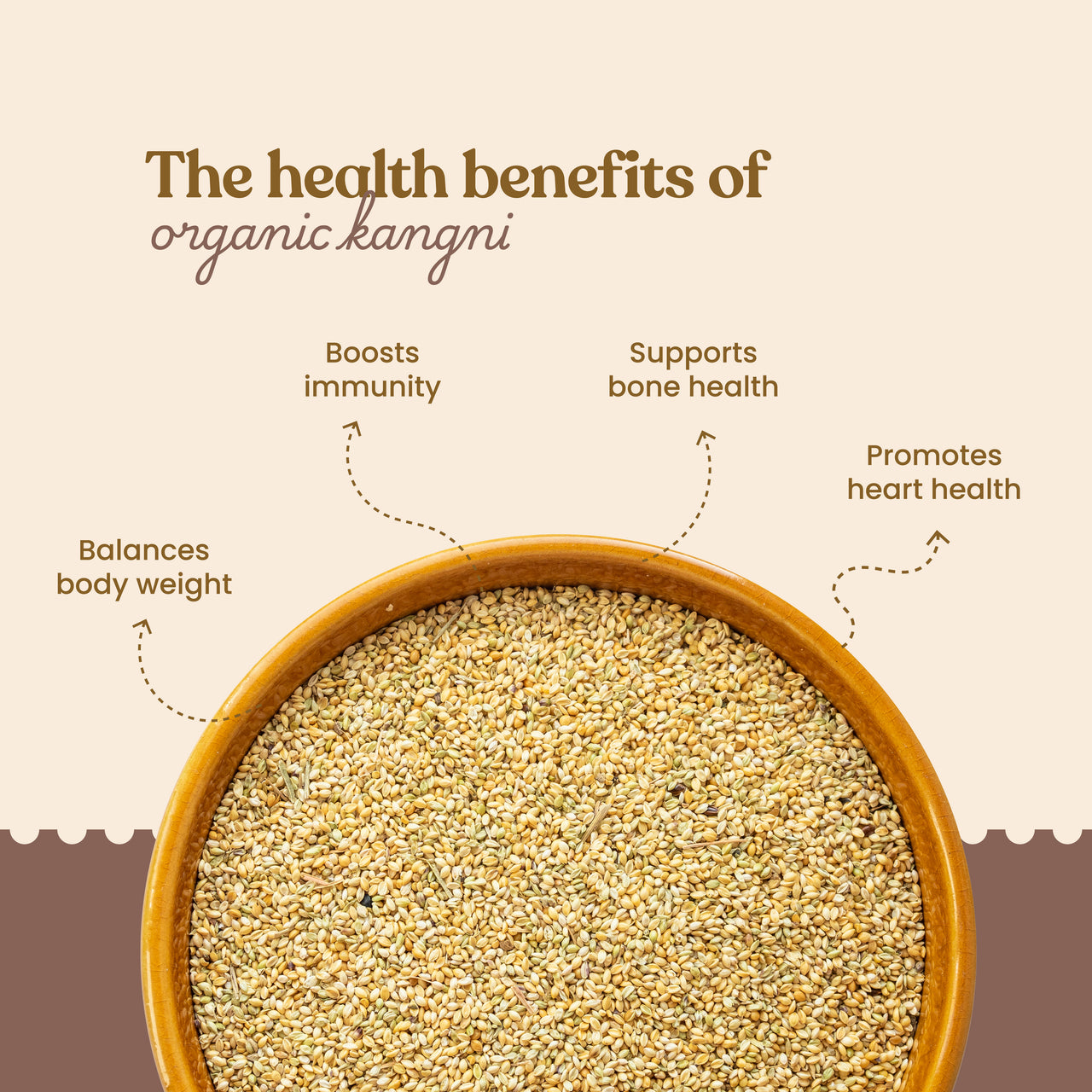 Buy Organic Foxtail Millet Online – Kangni Dane | Bharat Vedica