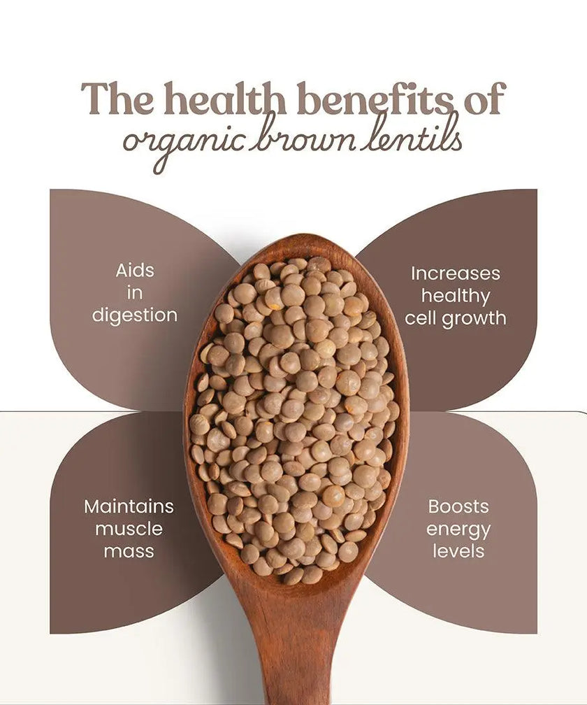 Organic Brown Lentils / Masoor Dal – Bharat Vedica