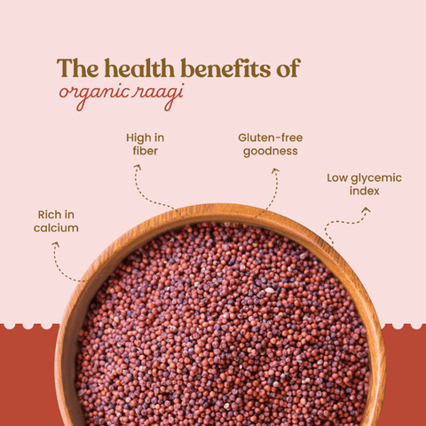 Buy Organic Finger Millet Online – Ragi Dane | Bharat Vedica
