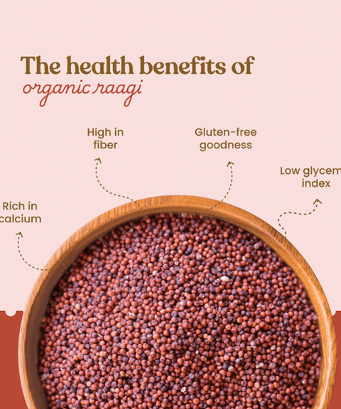 Buy Organic Finger Millet Online in India by Bharat Vedica
