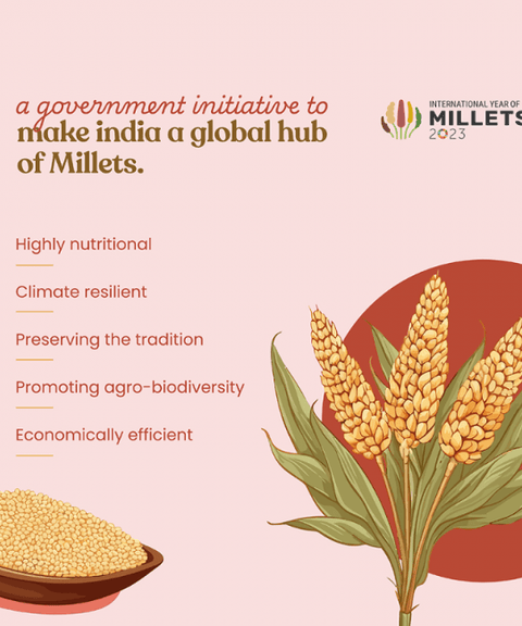 Buy Organic Finger Millet Online in India by Bharat Vedica